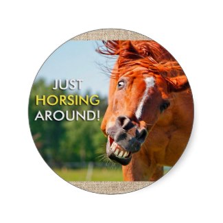 Just Horsing Around Horse Photograph - Irony Designs Fun Shop Novelty ...